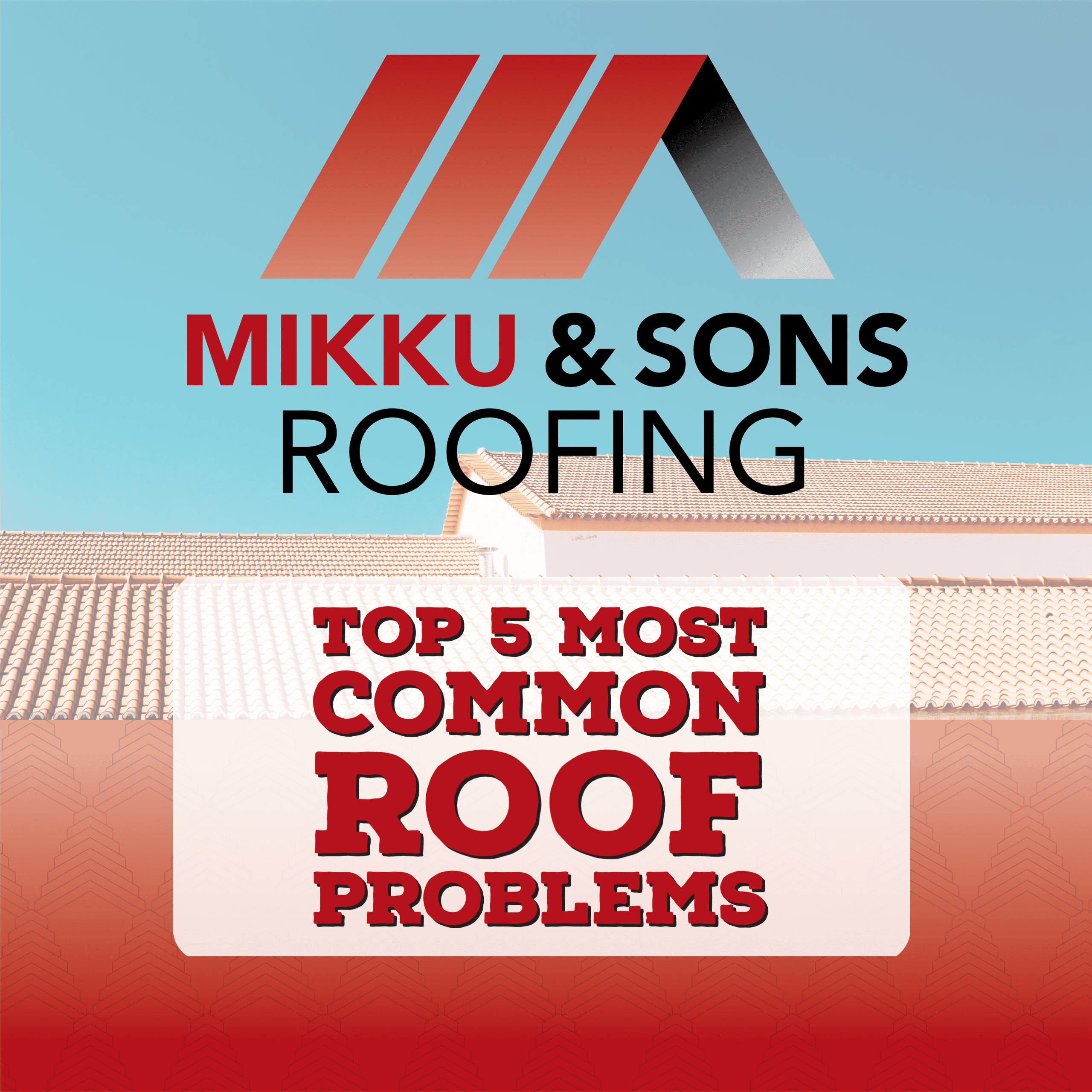 Top 5 Most Common Roof Problems Mikku Sons Roofing